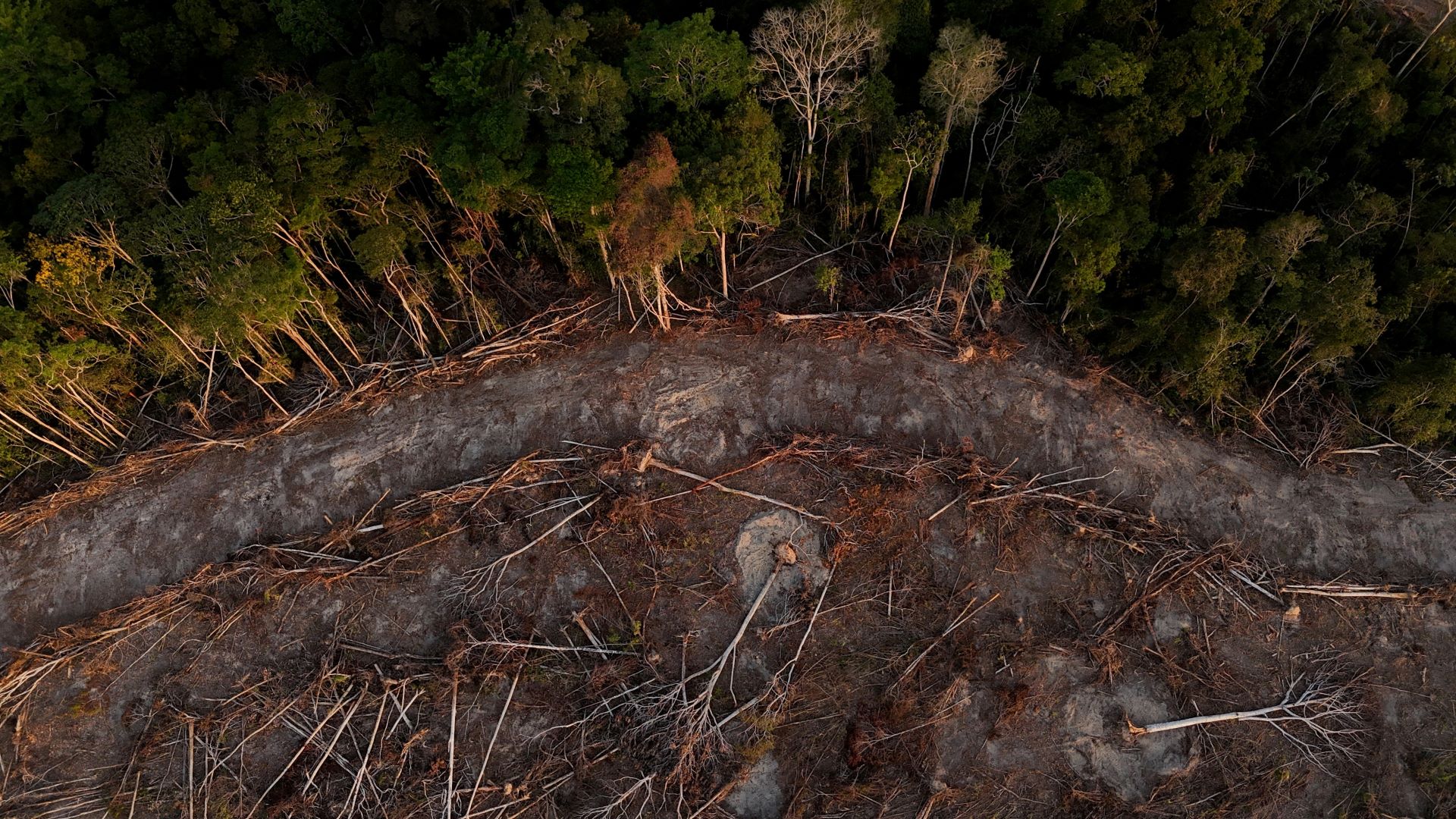 EmpreendaSC • PF apreende bens em operação contra o Banco Master ...